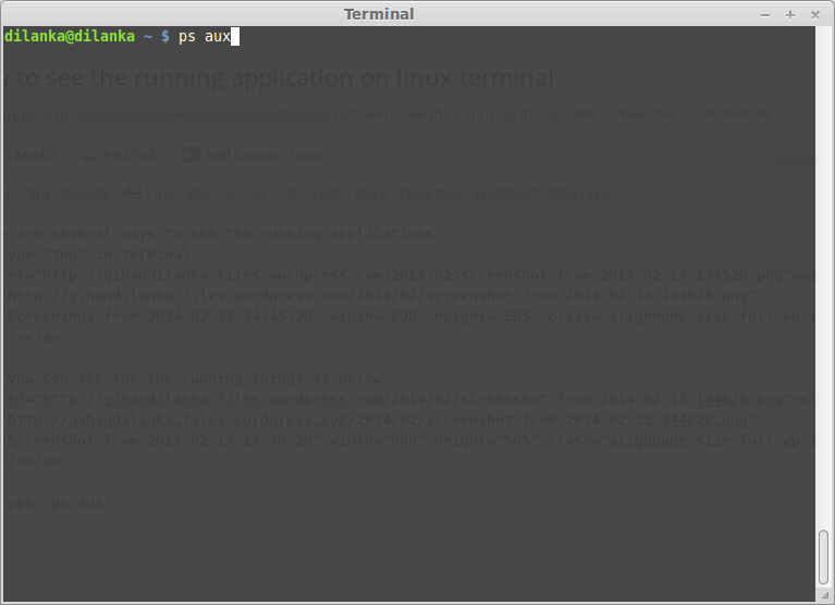 how to see the running processes on linux terminal - Gihan Dilanka